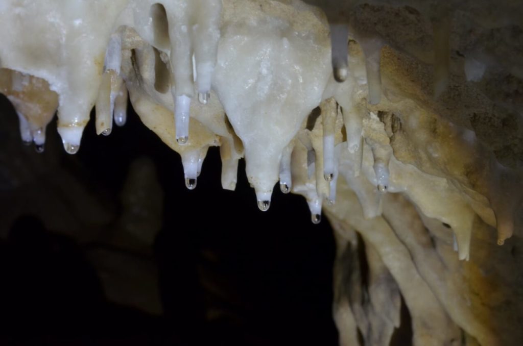 Grotte de Comblain – Groupes – Les découvertes de Comblain